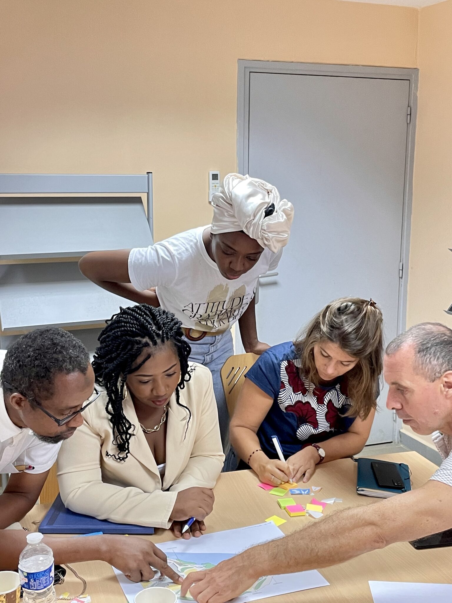 PLAN PAYSAGE : La Communauté d’Agglomération Dembéni-Mamoudzou poursuit l’élaboration de son ...